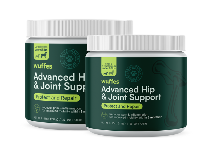 Joint Supplements for Dogs by The Joint Health Experts | Wuffes