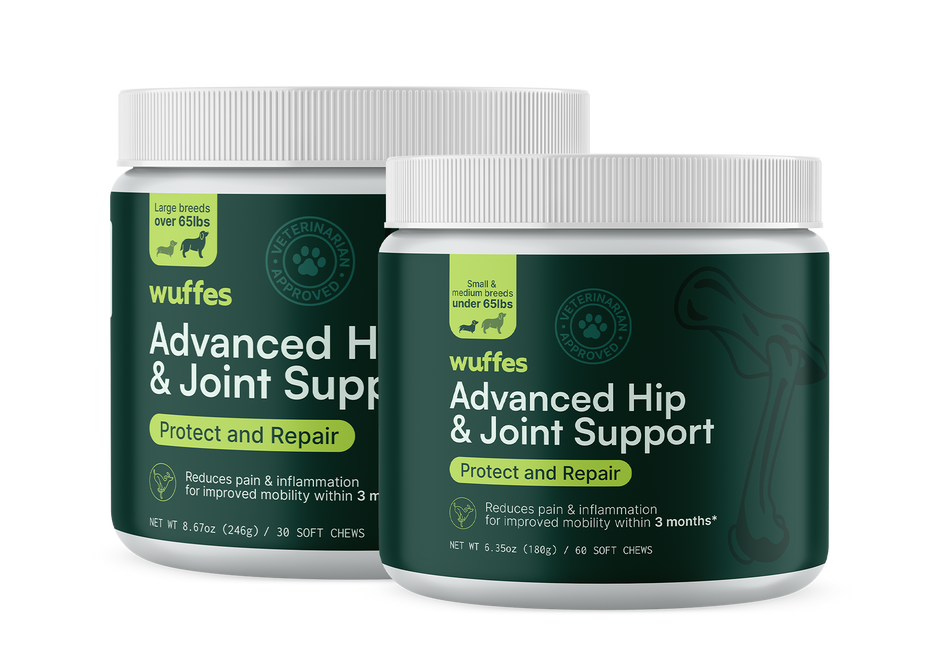 Joint Supplements for Dogs by The Joint Health Experts | Wuffes