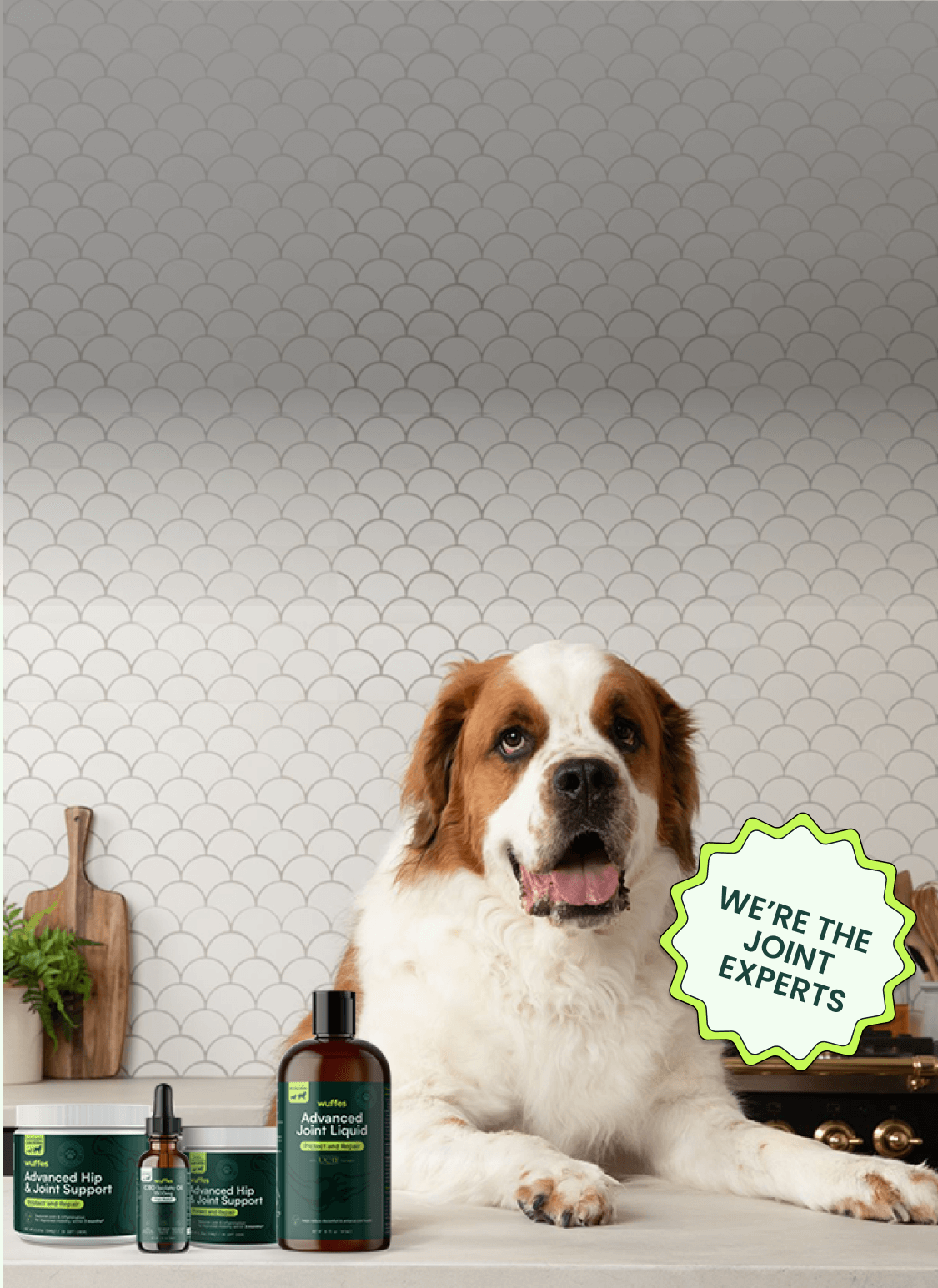 Joint Supplements for Dogs by The Joint Health Experts | Wuffes