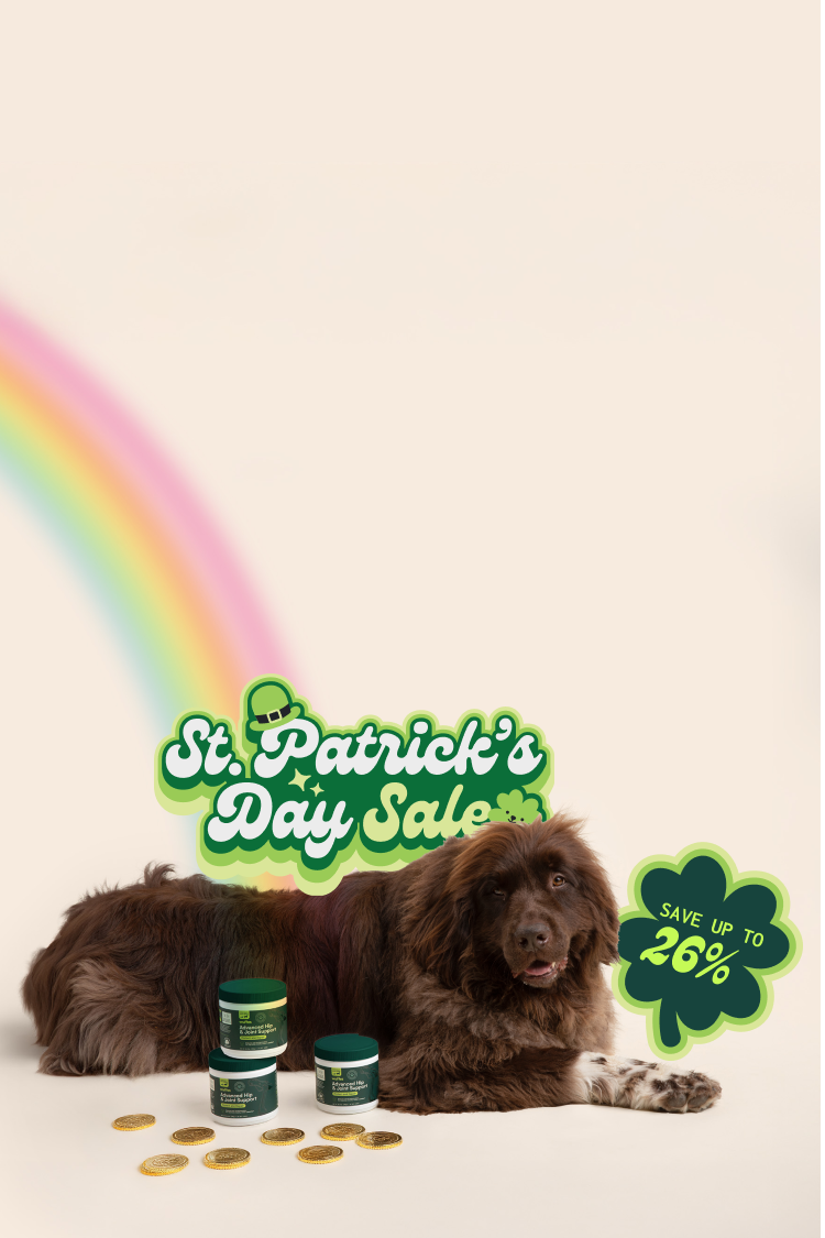 Joint Supplements for Dogs by The Joint Health Experts | Wuffes