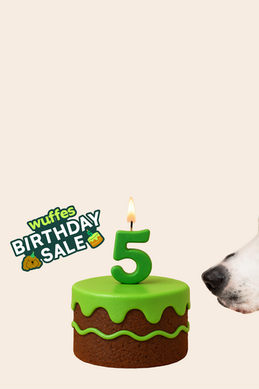 Joint Supplements for Dogs by The Joint Health Experts | Wuffes