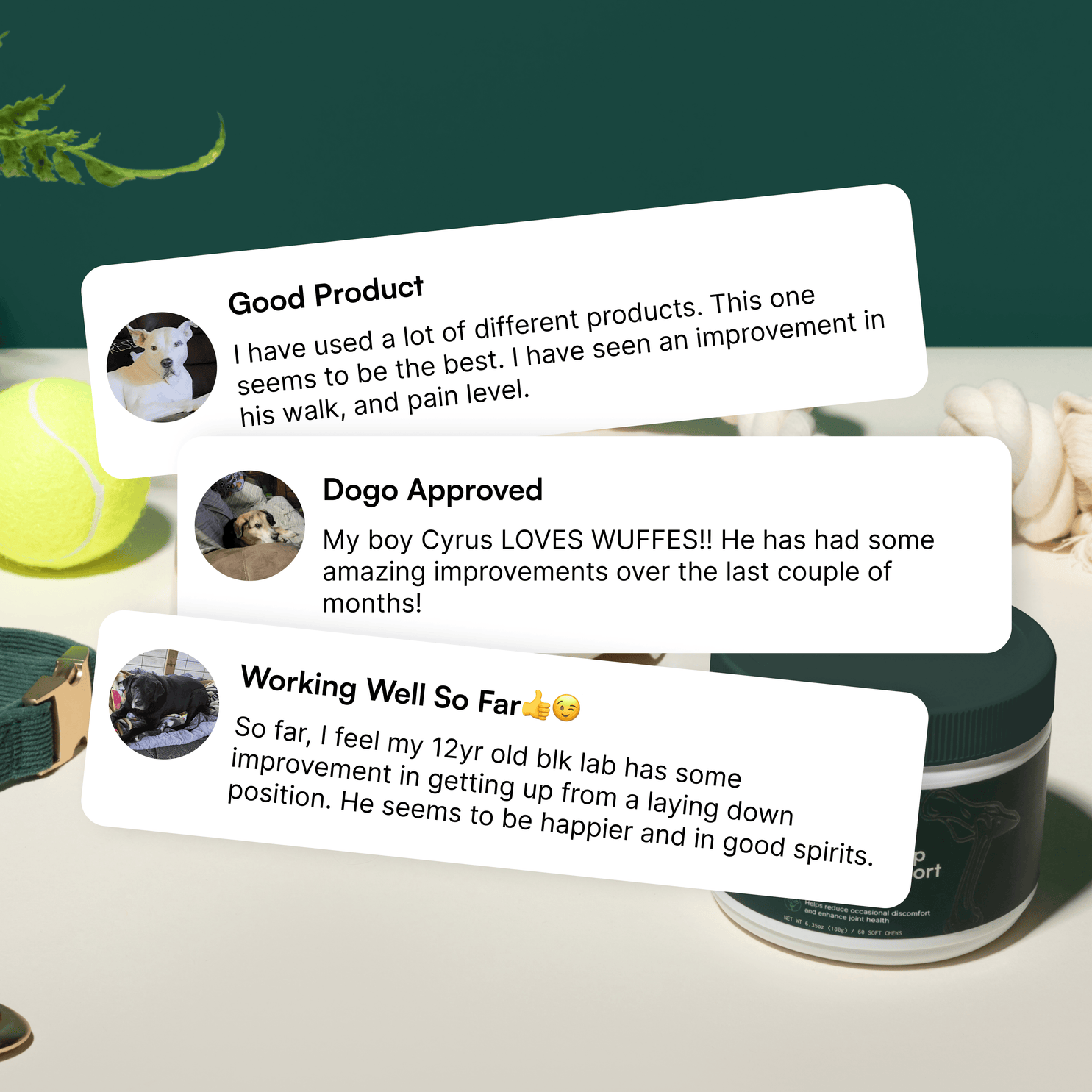 Advanced Hip & Joint Support for Large Breeds – Wuffes