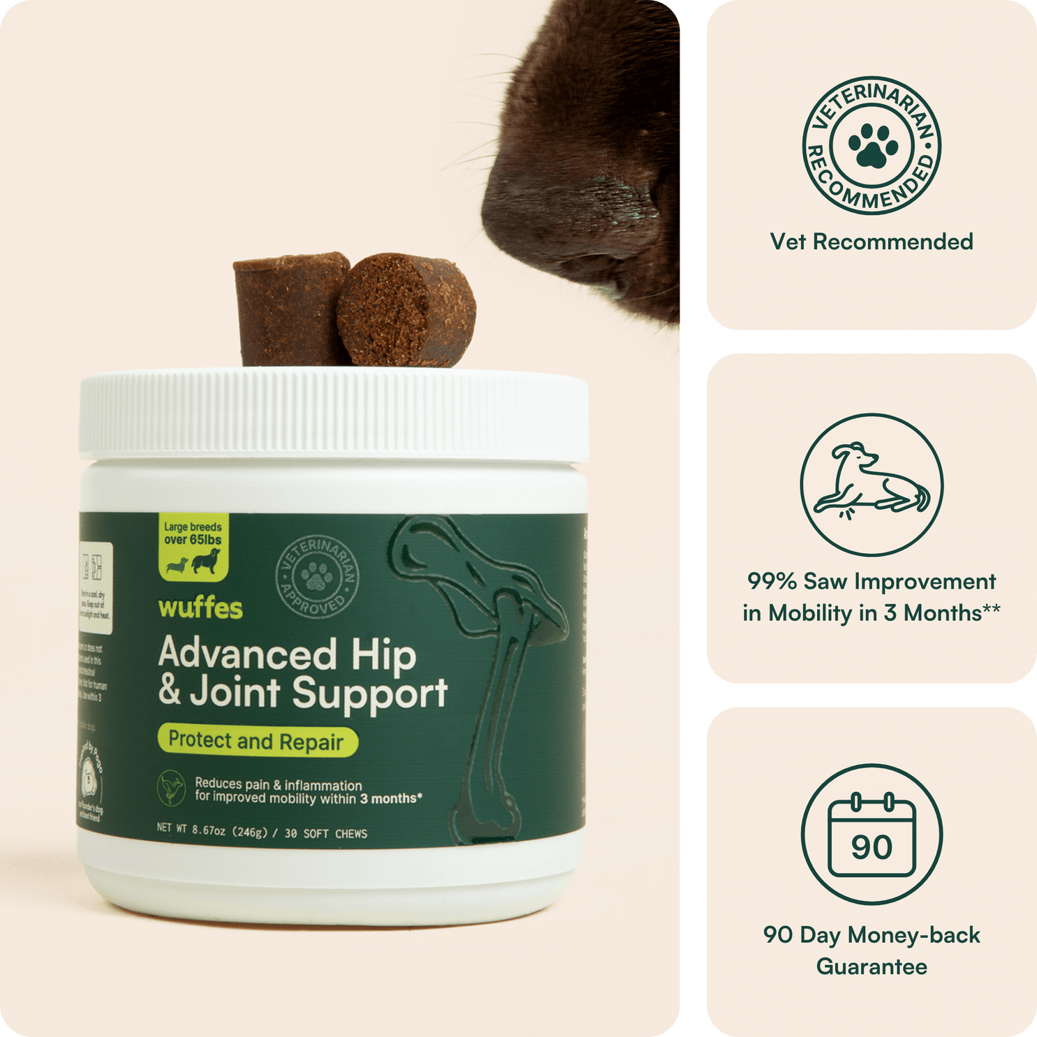 Advanced Hip & Joint Support for Large Breeds – Wuffes