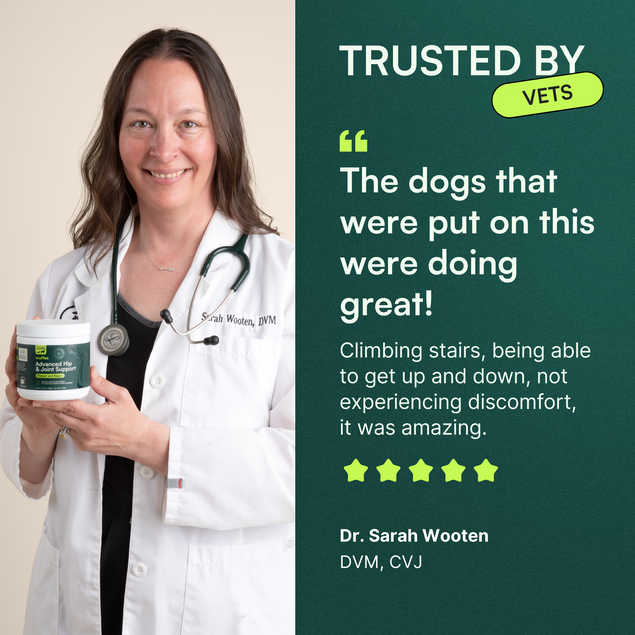 Advanced Hip & Joint Support for Large Breeds – Wuffes