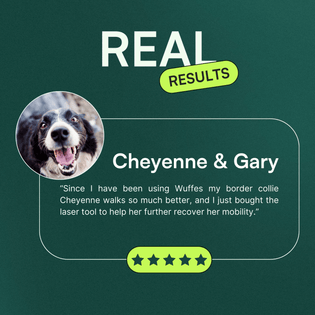 Portable Laser Therapy – Wuffes