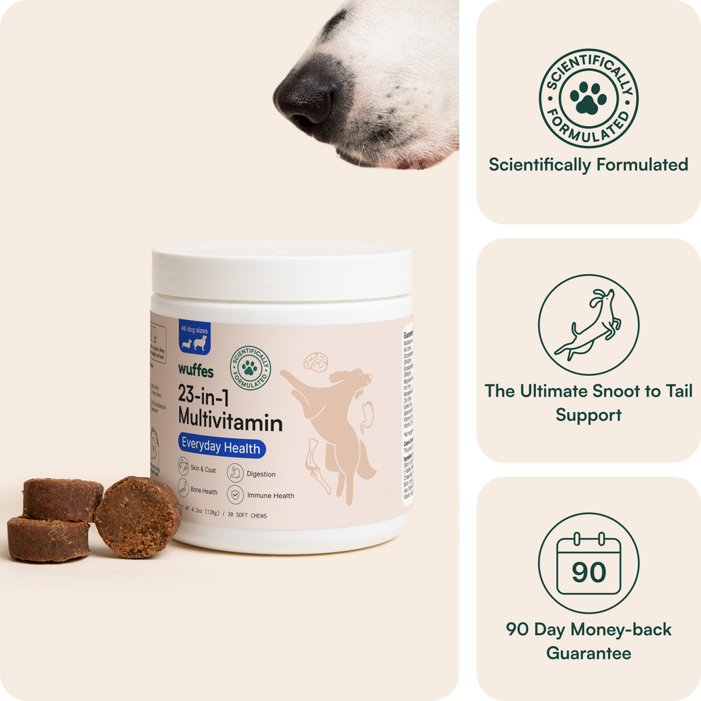 23-in-1 Multivitamin – Wuffes