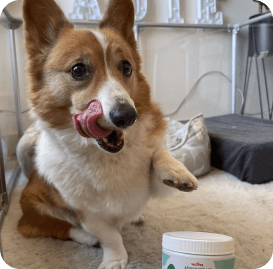 Joint Supplements for Dogs by The Joint Health Experts | Wuffes