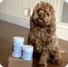 Joint Supplements for Dogs by The Joint Health Experts | Wuffes