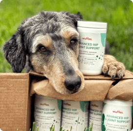 Joint Supplements for Dogs by The Joint Health Experts | Wuffes