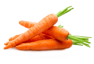 Joint Supplements for Dogs by The Joint Health Experts | Wuffes