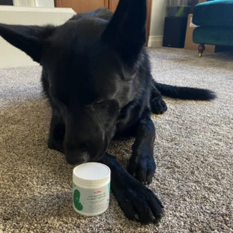 Supplements for Dogs and Multivitamins for Dogs | Wuffes