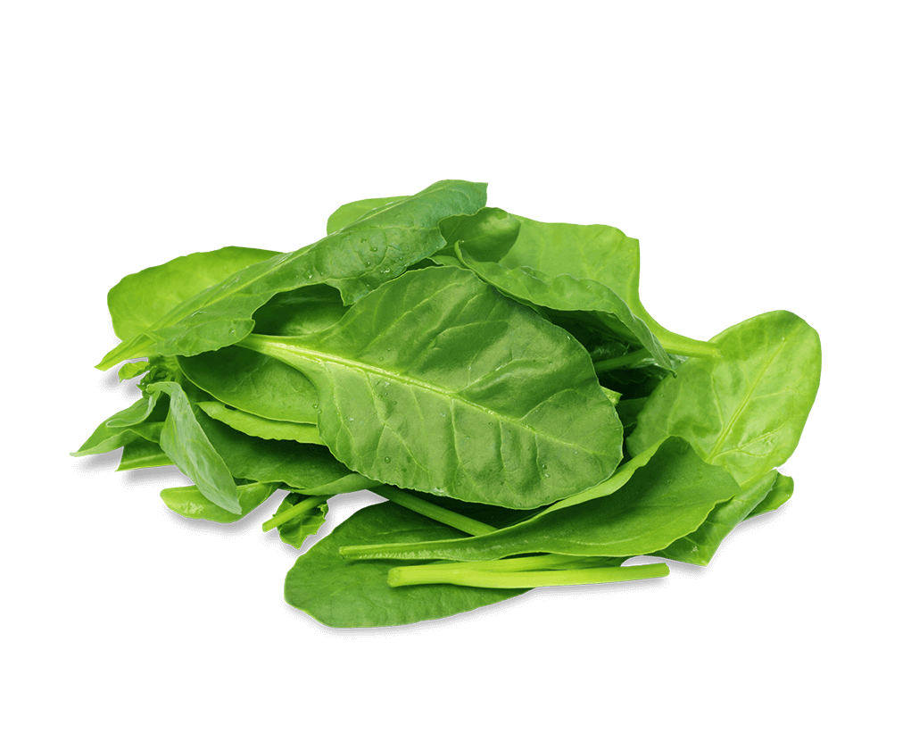 Advanced Joint Liquid – Wuffes