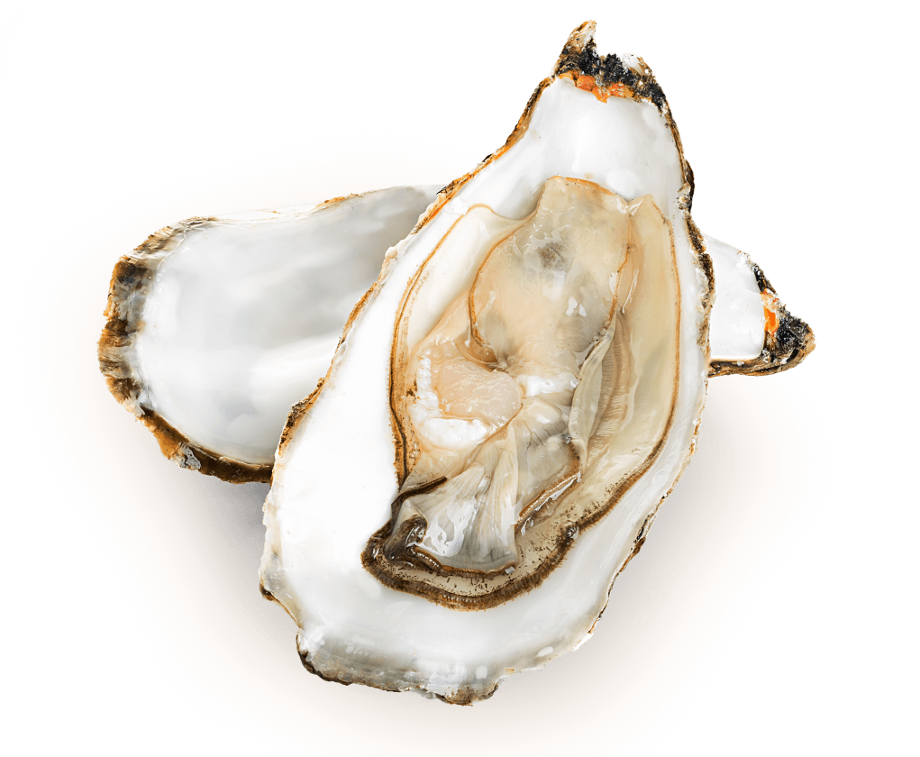 Advanced Joint Liquid – Wuffes