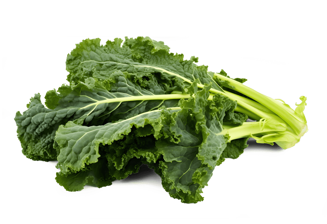 Joint Supplements for Dogs by The Joint Health Experts | Wuffes