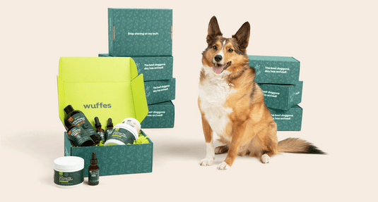 Order Status – Wuffes