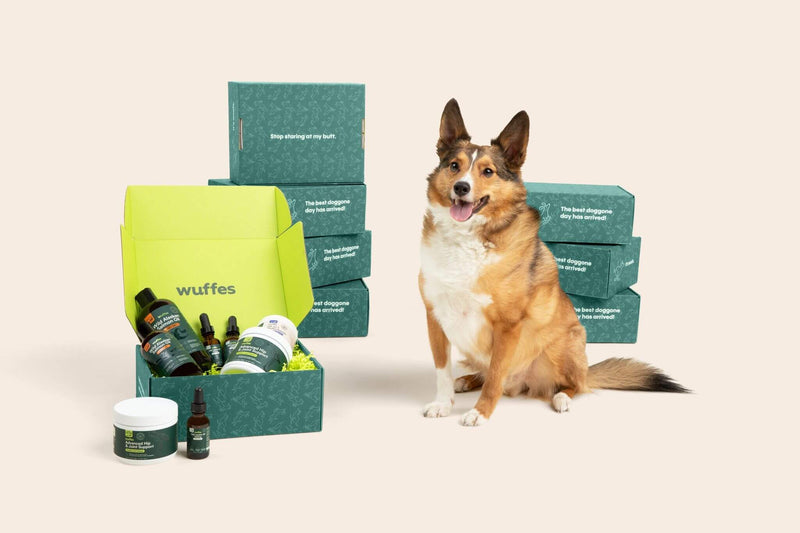 Joint Supplements for Dogs by The Joint Health Experts | Wuffes